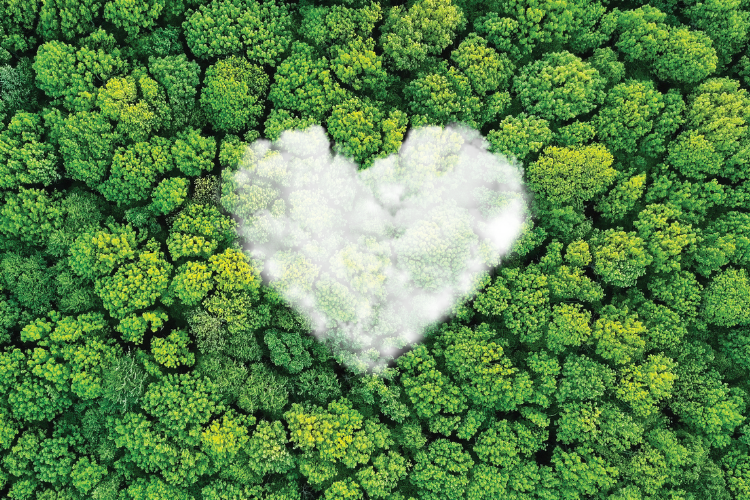 BALYO’s Continued Commitment to Environmental and Societal Impact: 2023 ...